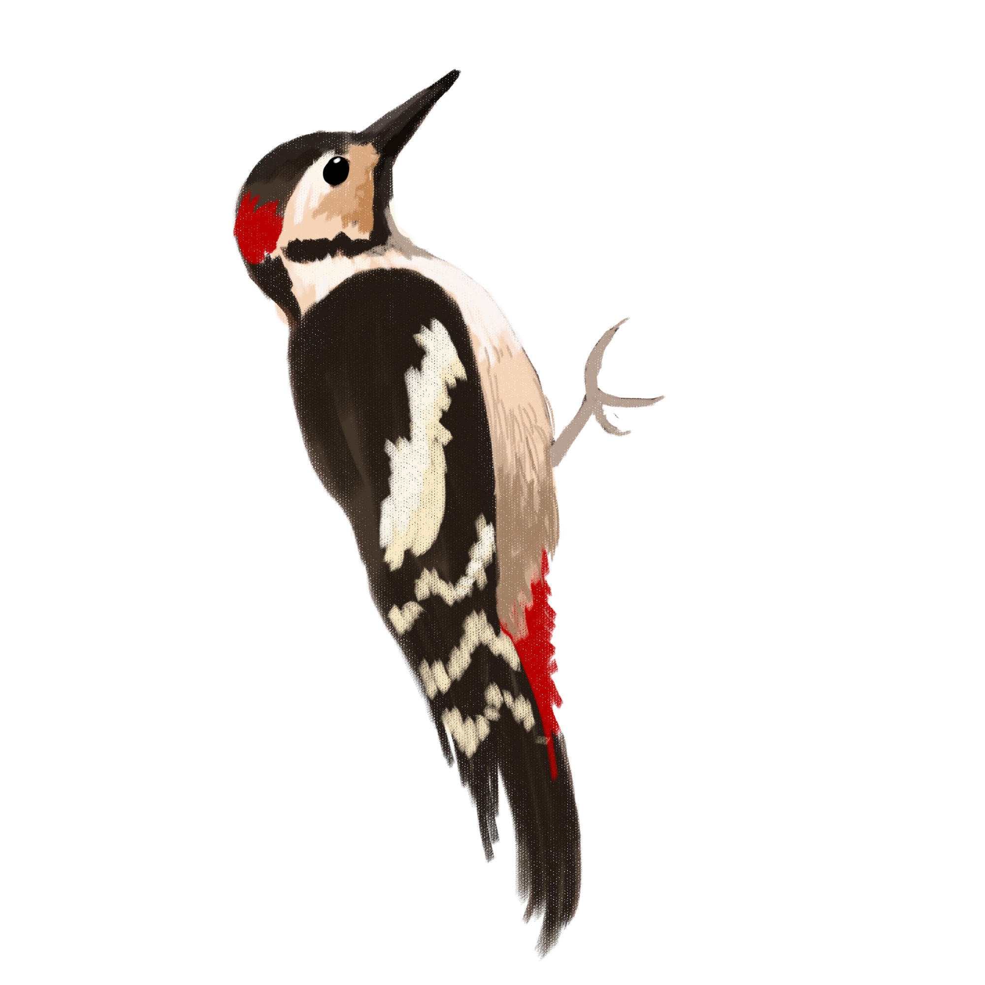 S'inscrire - EEDF Lorient